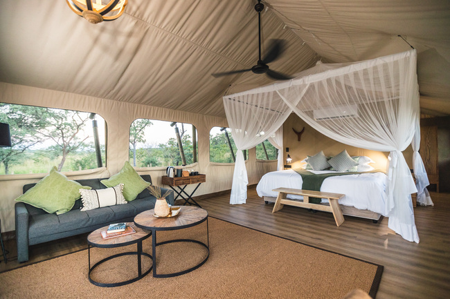 Mdluli Safari Lodge: A Community Legacy in the Heart of the Kruger ...